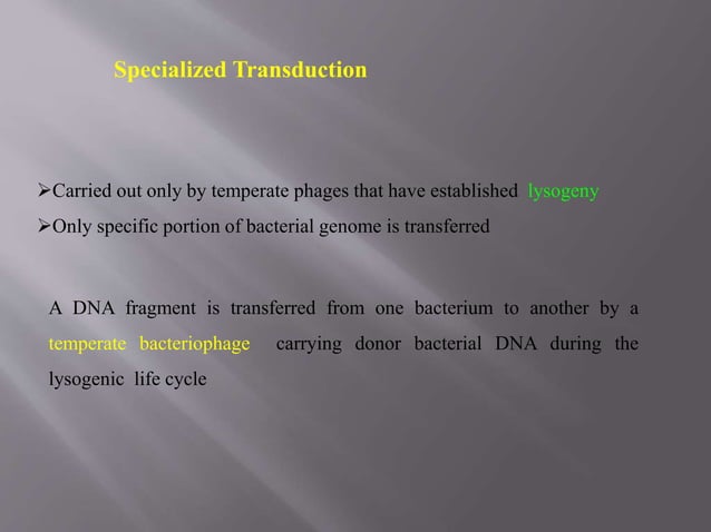 Reproduction in bacteria | PPT