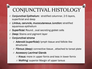 Bacterial conjunctivitis | PDF