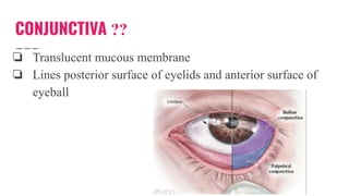 Bacterial conjunctivitis Ophthalmology | PDF