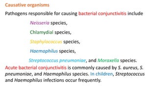 BACTERIAL CONJUNCTIVITIS for BSc Optometry | PPTX