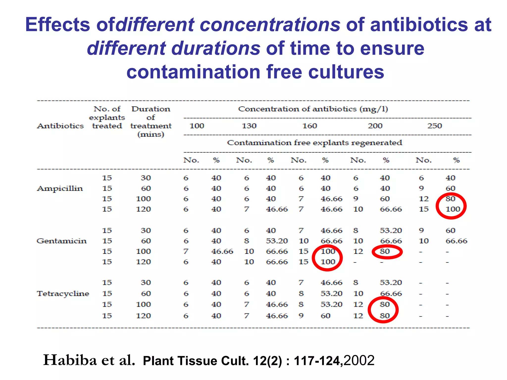 Bacterial contaminants of plant tissue culture | PPT
