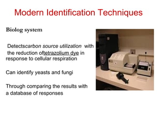 Bacterial contaminants of plant tissue culture | PPT