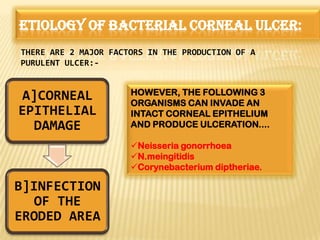 Bacterial corneal ulcer (Etilogy, pathogenesis, pathology & clinical ...