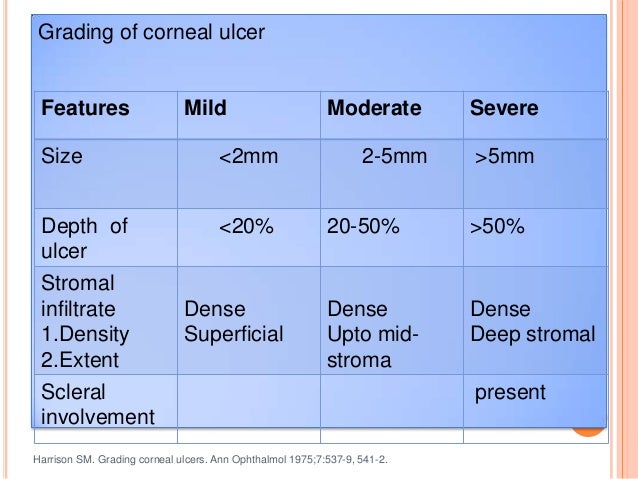 Bacterial corneal ulcer DrBP