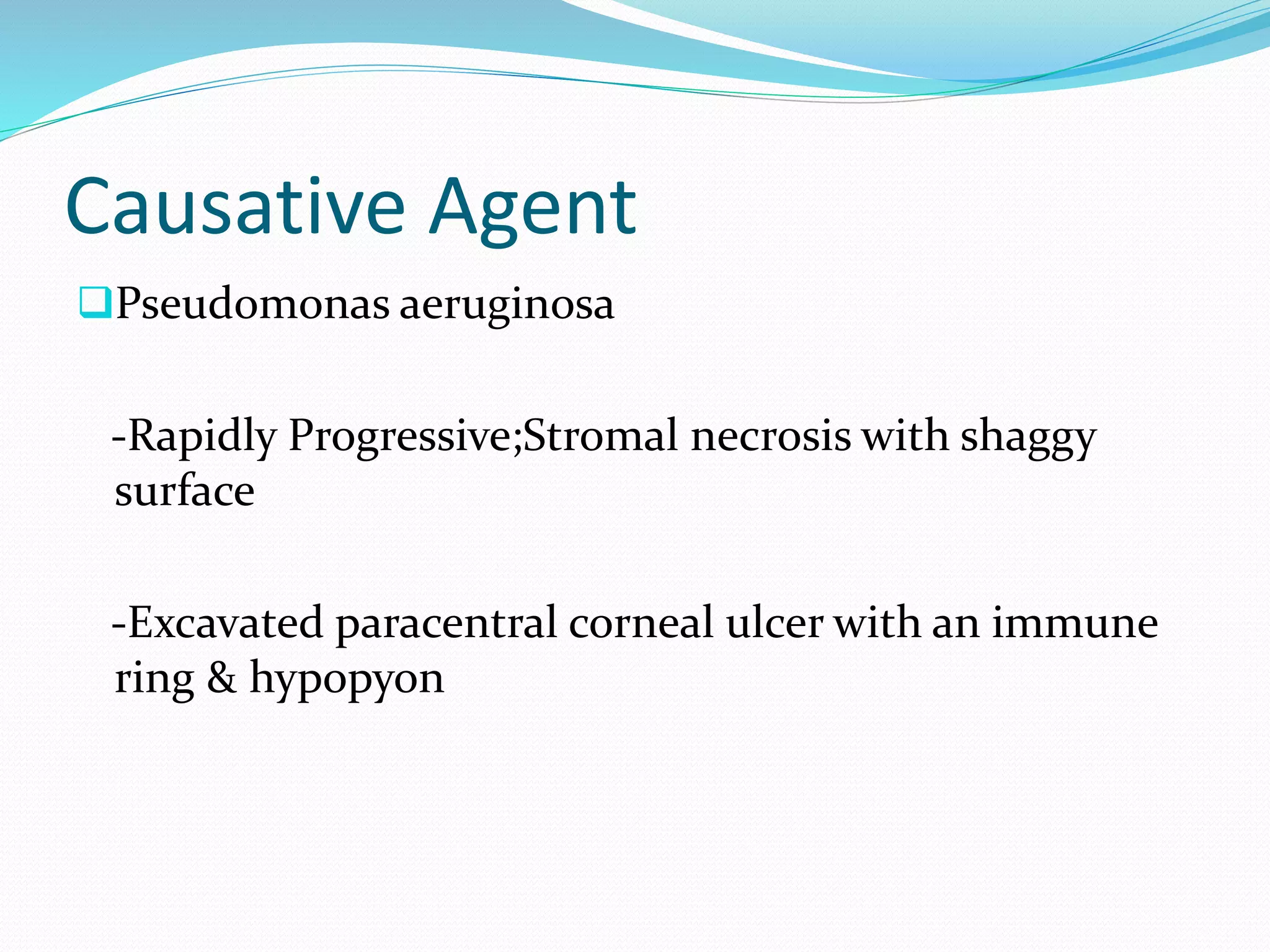 Bacterial corneal ulcer | PPTX