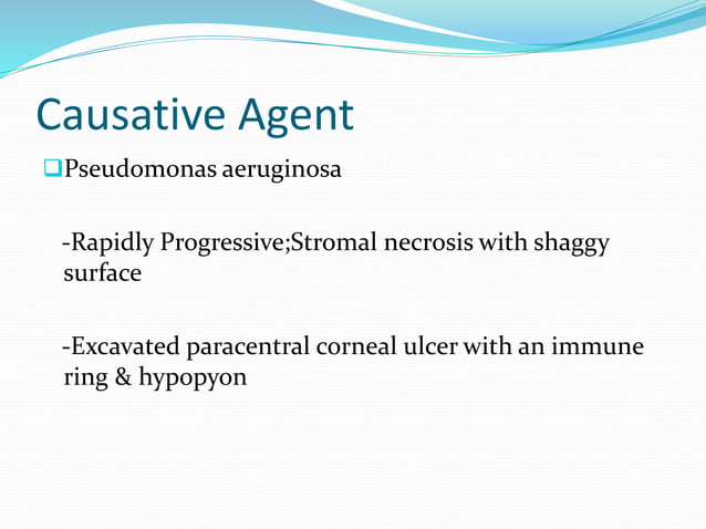 Bacterial Corneal Ulcer Pptx
