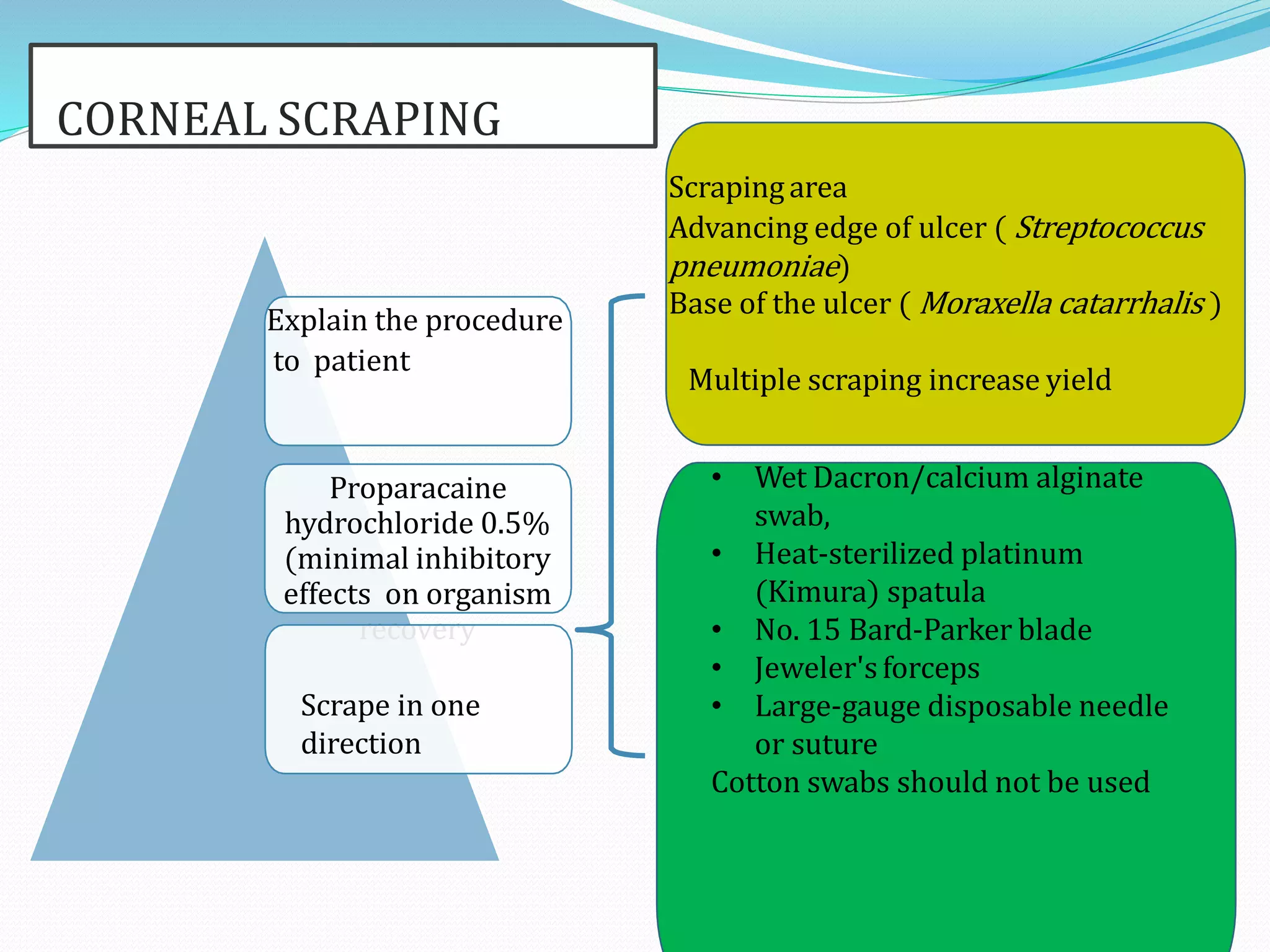 Bacterial Corneal Ulcer Ppt