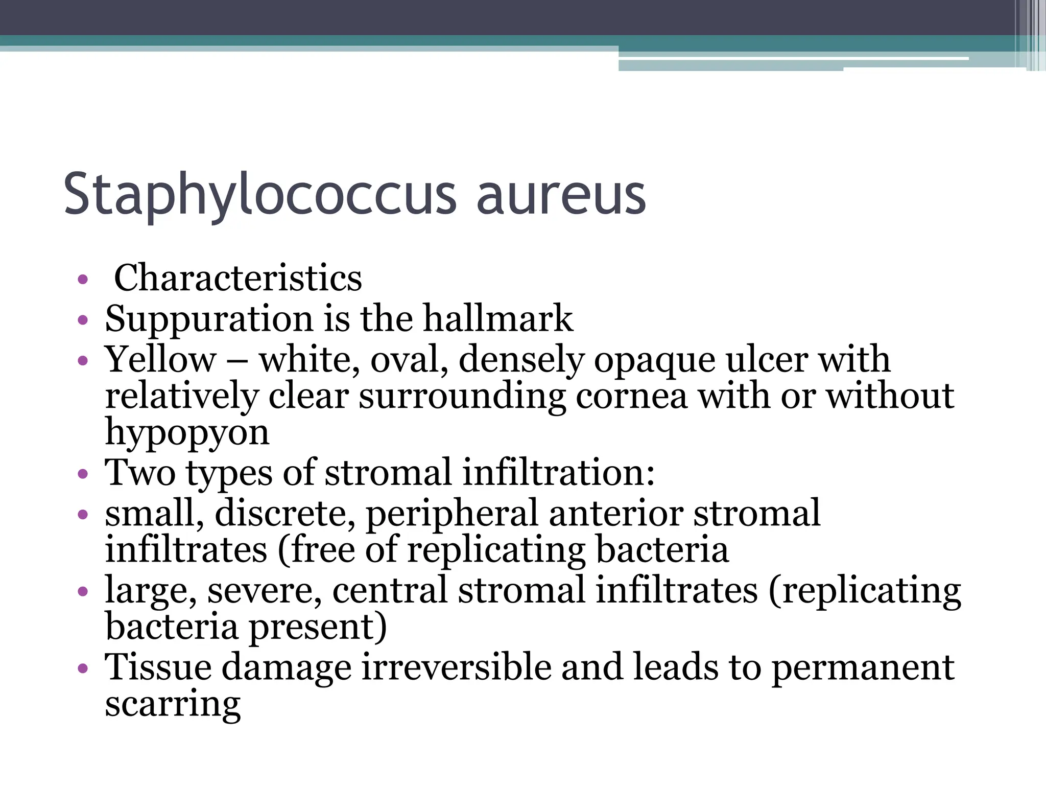 Bacterial Corneal Ulcer 2 Pptx Cornea Pptx