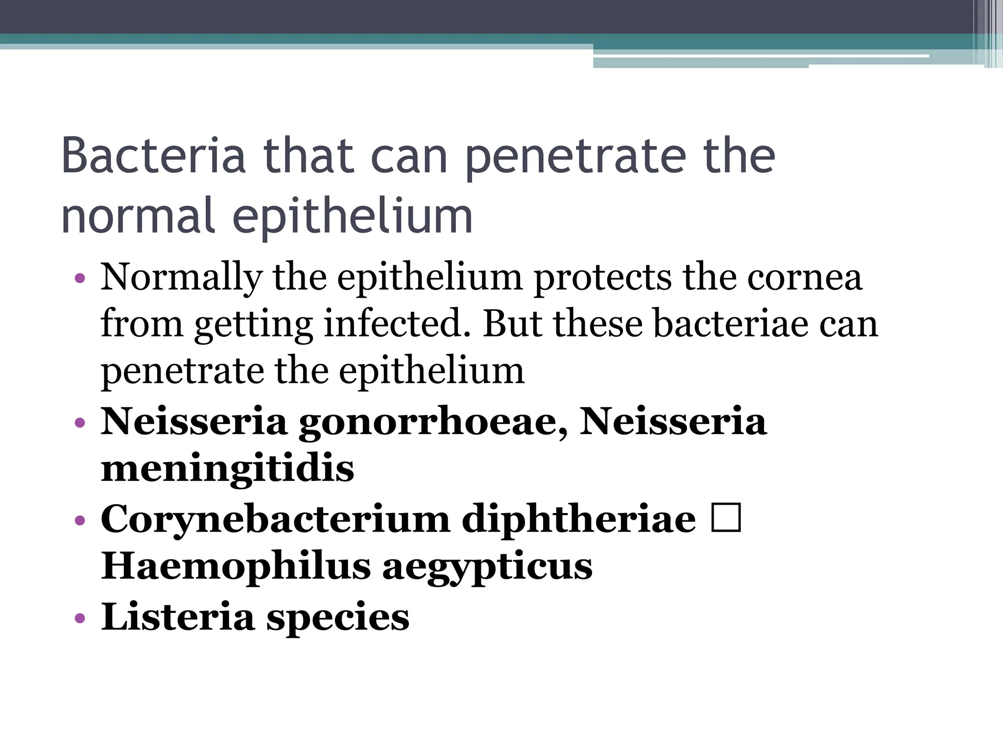 Bacterial corneal ulcer (2).pptx CORNEA | PPTX