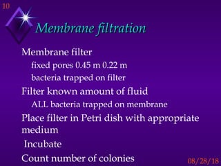 Bacterial count, method to count bacteria | PPT