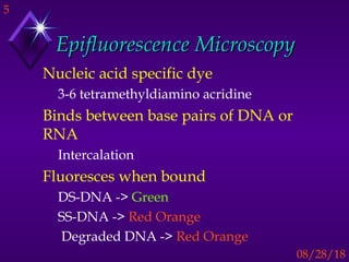 Bacterial count, method to count bacteria | PPT