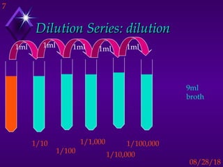Bacterial count, method to count bacteria | PPT