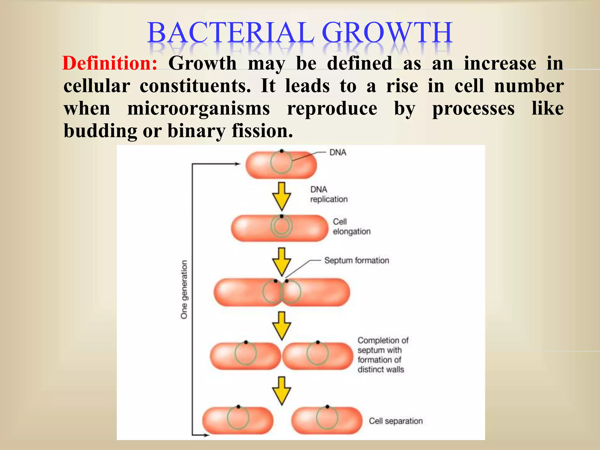 Bacterial Growth curve | PPT