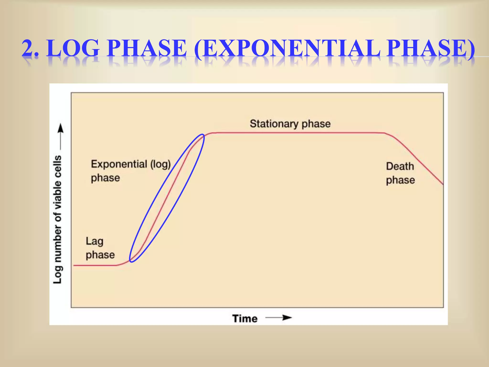 Bacterial Growth curve | PPT