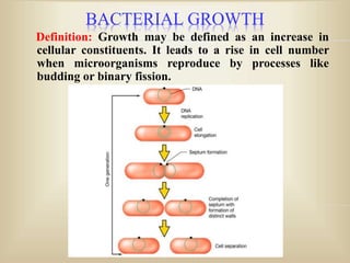 Bacterial Growth curve | PPT