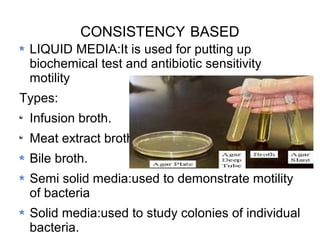 Bacterial culture | PPT