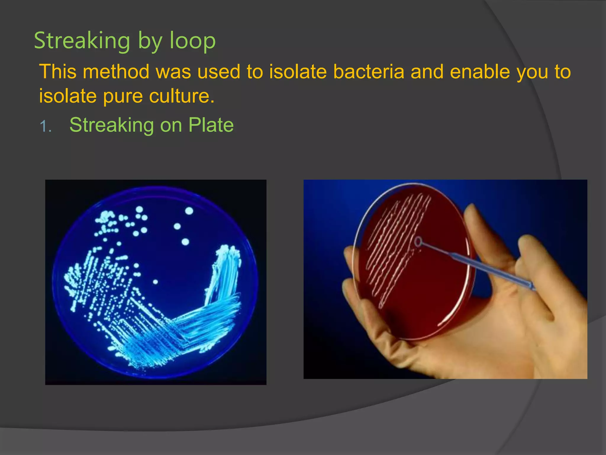 Bacterial culture.pptx