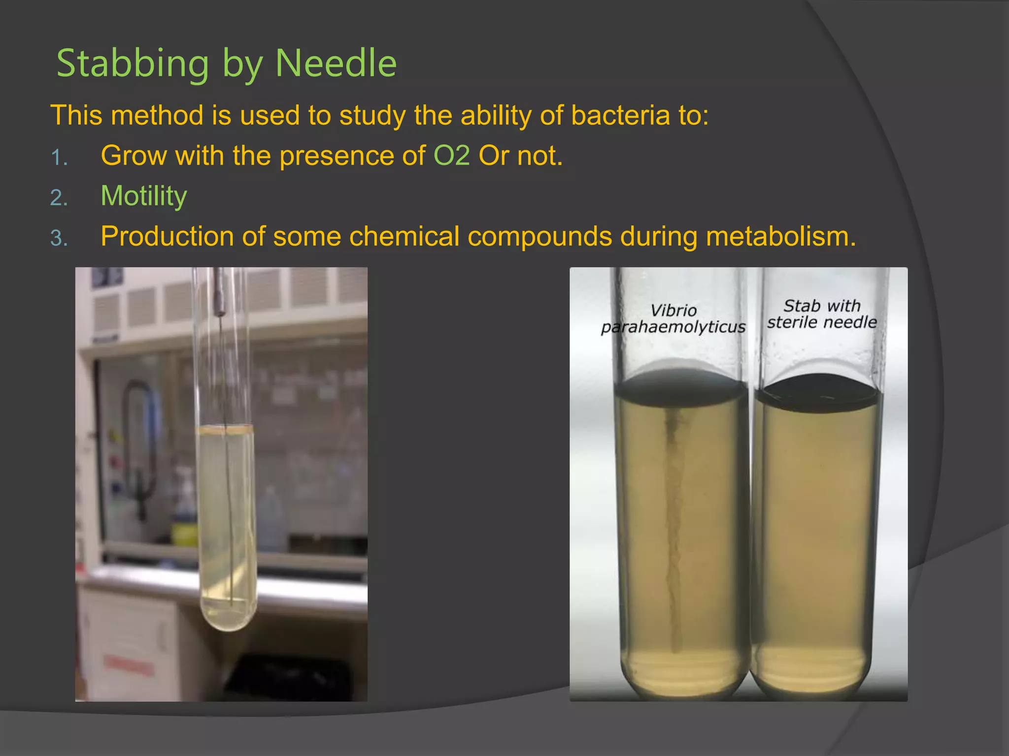 Bacterial culture.pptx