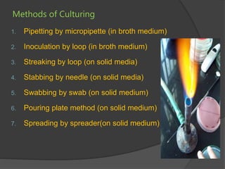 Bacterial culture.pptx