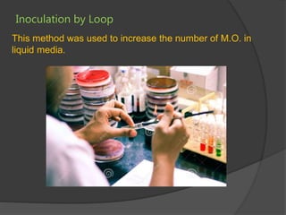 Bacterial culture.pptx