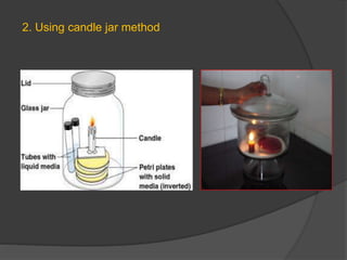 Candle Jar In Microbiology