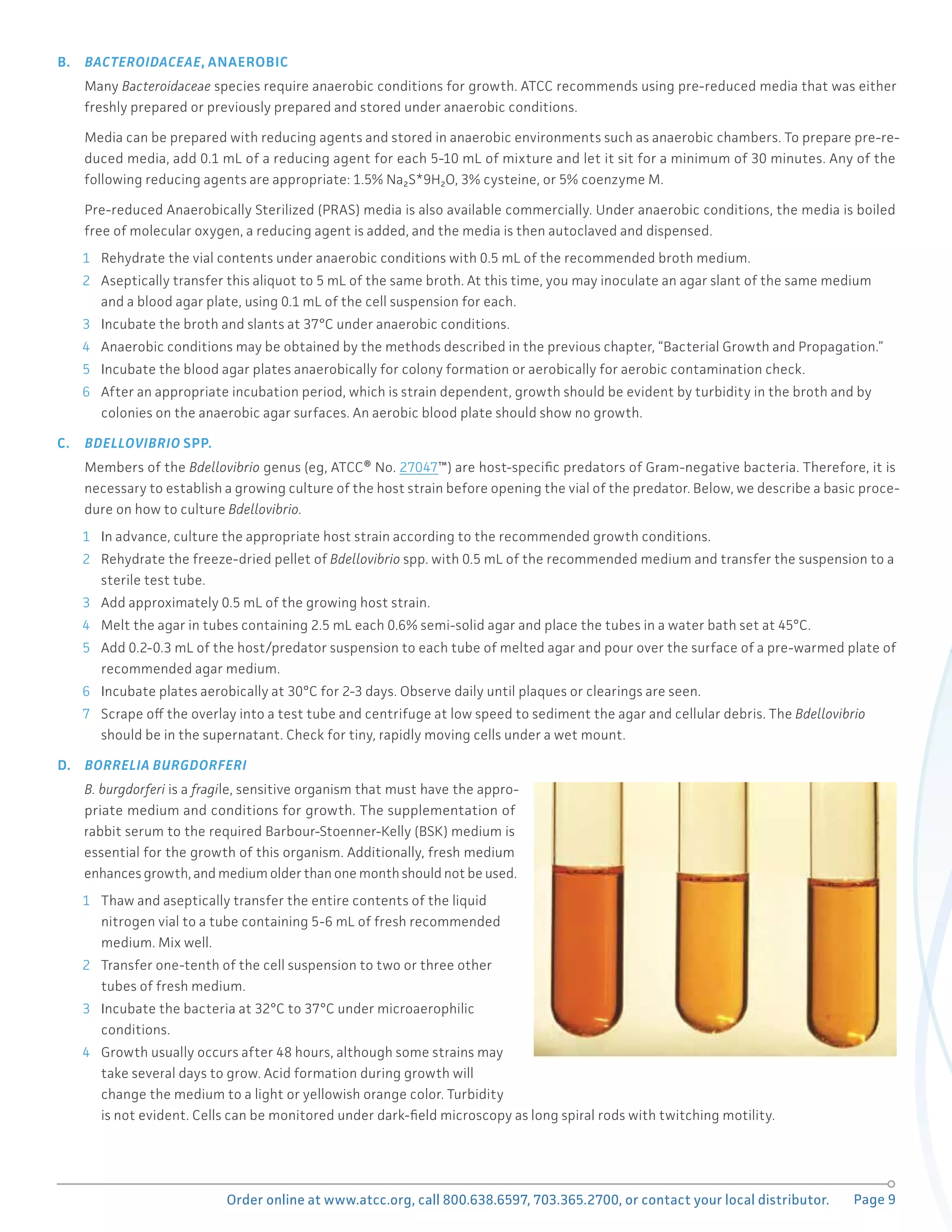Bacterial Culture Guide.pdf