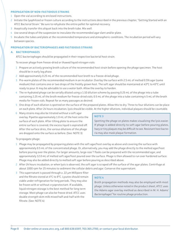 Bacterial Culture Guide.pdf
