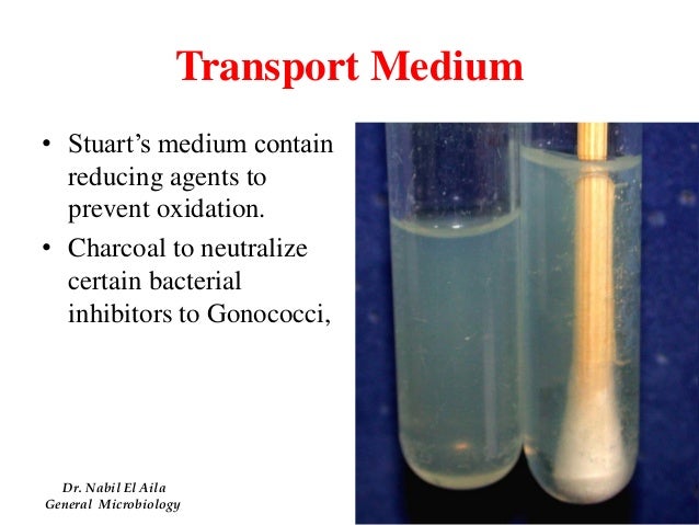 Bacterial culture media بكتريا عملي