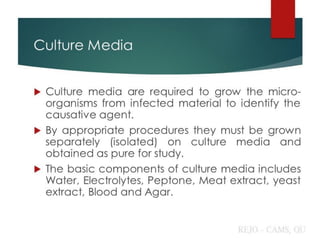 Culture Media (Bacterial culture media) | PDF