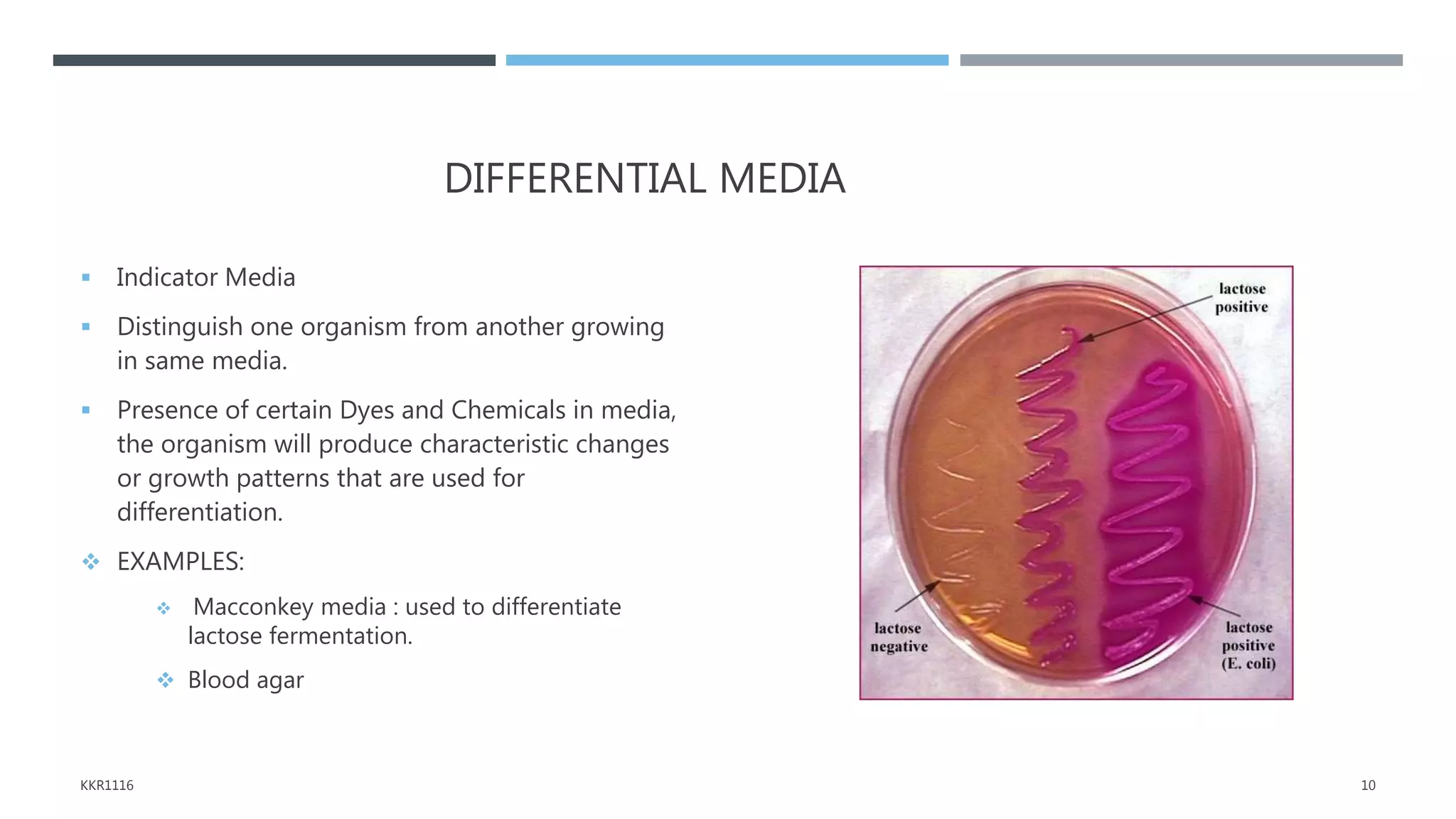 Bacterial culture media | PPTX