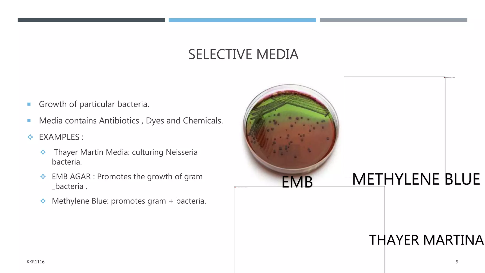 Bacterial culture media | PPTX