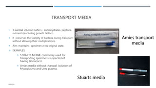 Bacterial culture media | PPTX