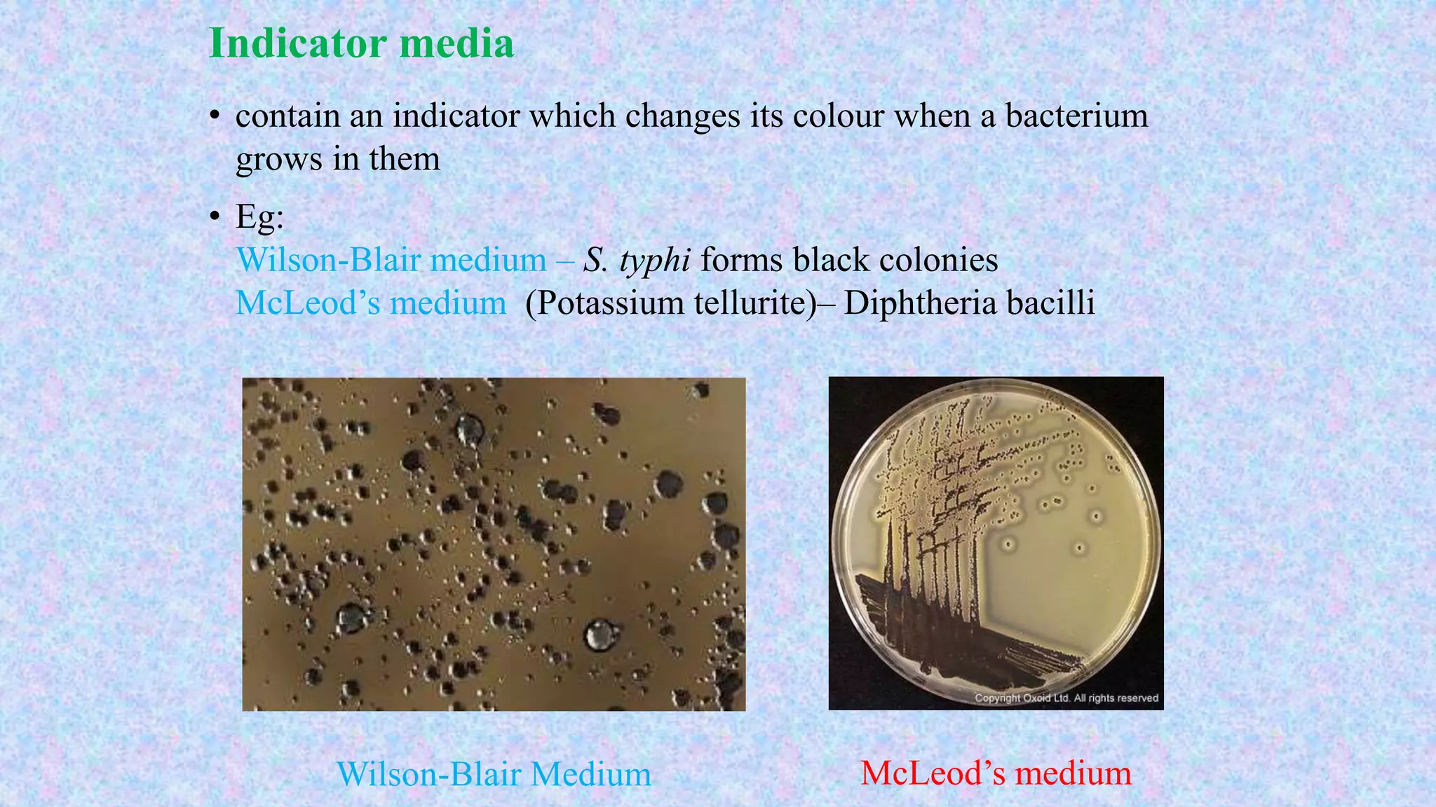 Bacterial culture media by manoj | PPTX
