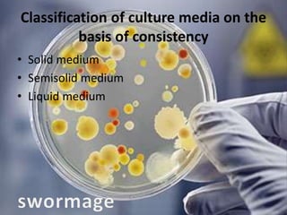 Bacterial culture media by sworna | PPTX