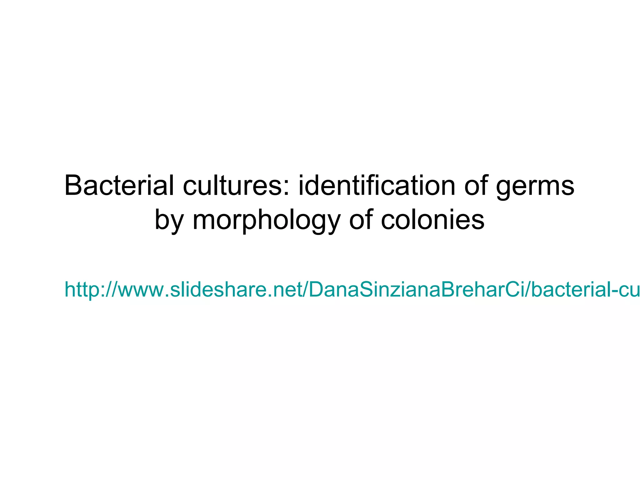 Bacterial cultures morphology based identification | PPT