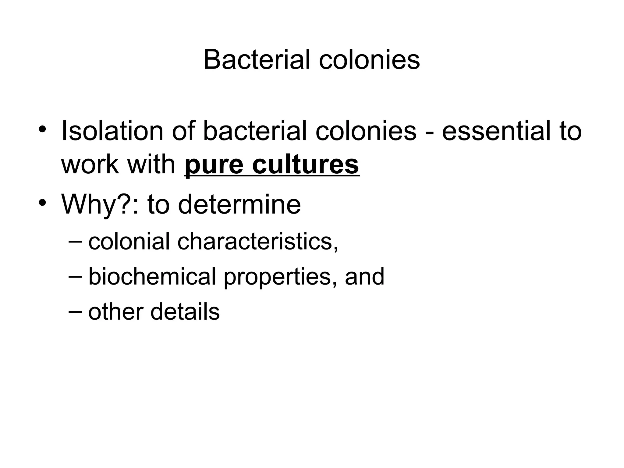 Bacterial cultures morphology based identification | PPT