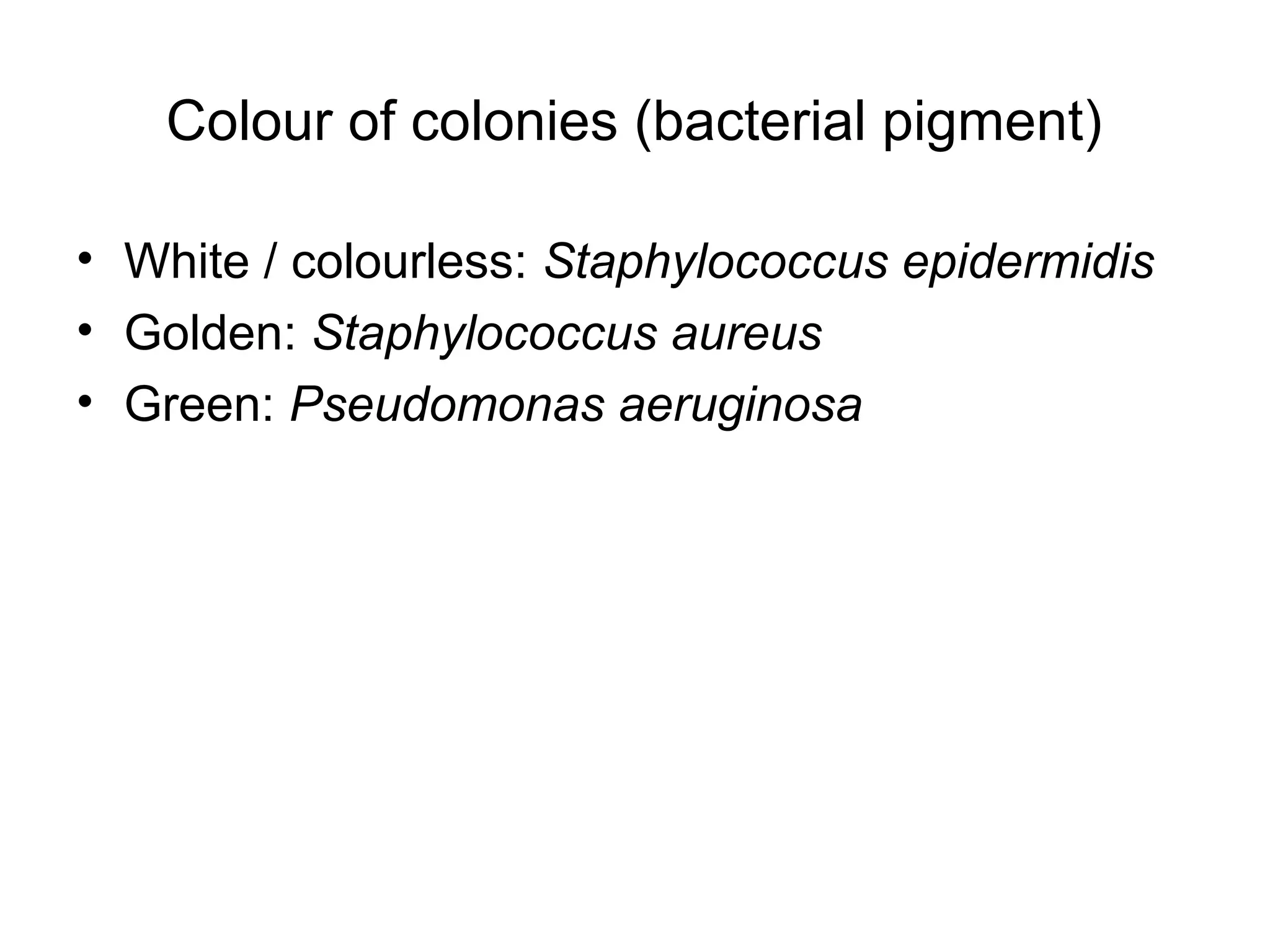 Bacterial cultures morphology based identification | PPT
