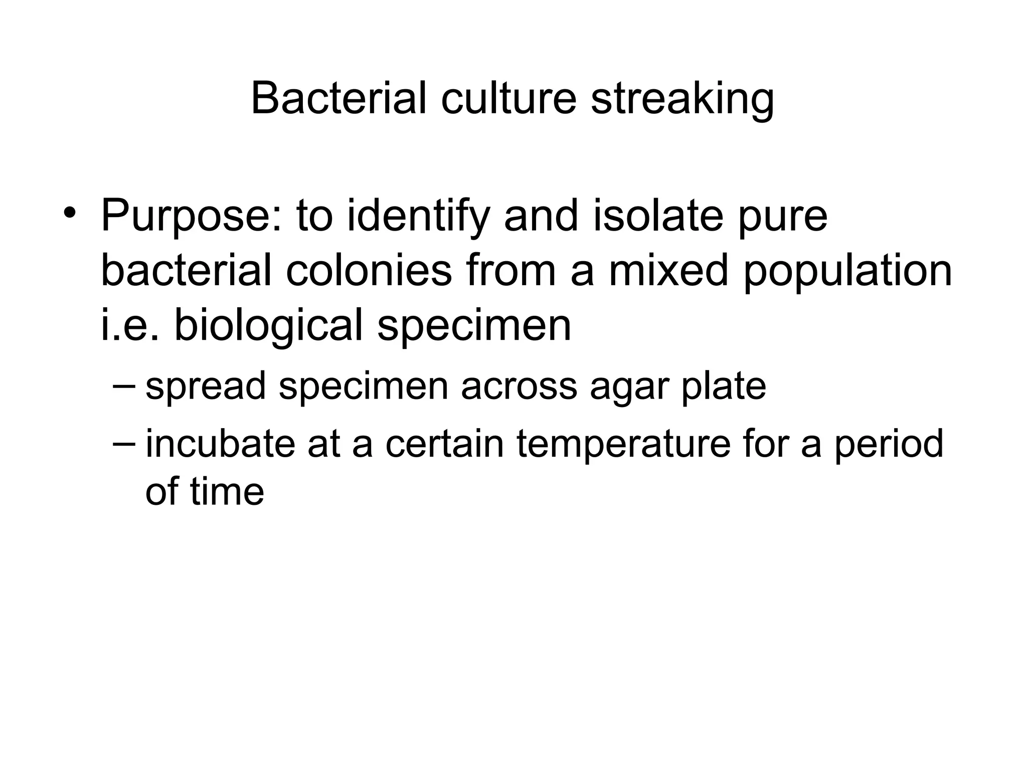 Bacterial cultures morphology based identification | PPT