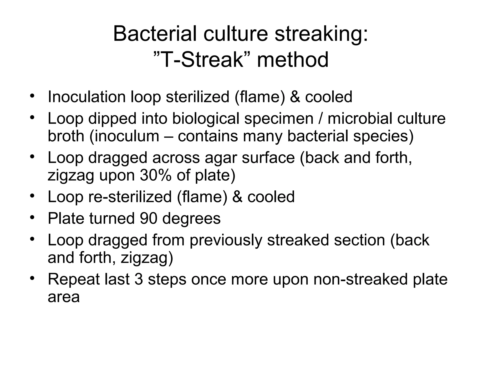 Bacterial cultures morphology based identification | PPT