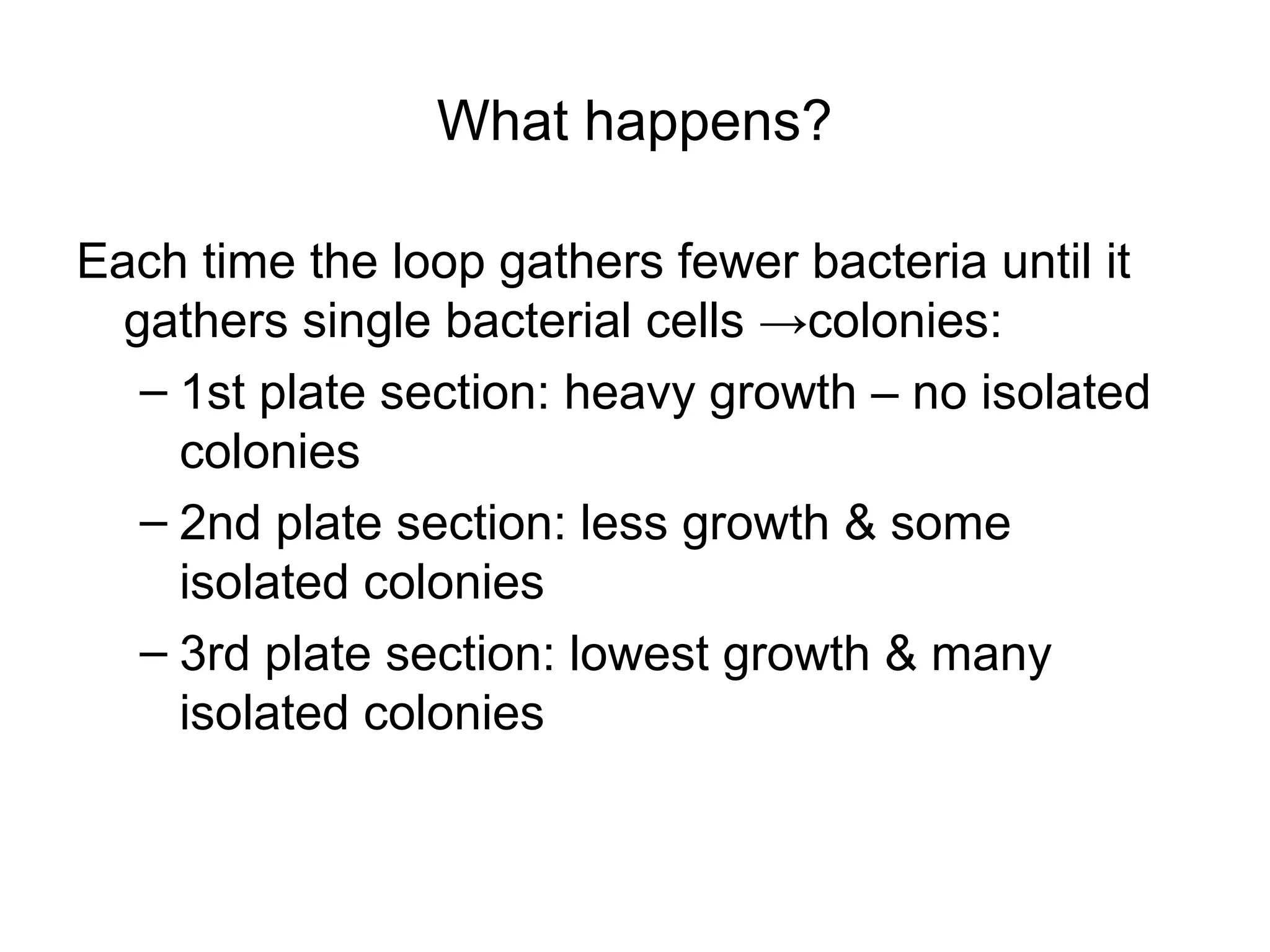 Bacterial cultures morphology based identification | PPT