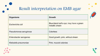 bacterial culture media | PPTX | Chemistry | Science