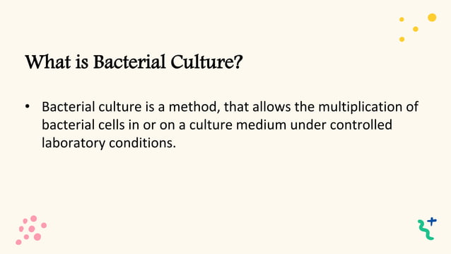bacterial culture media | PPT