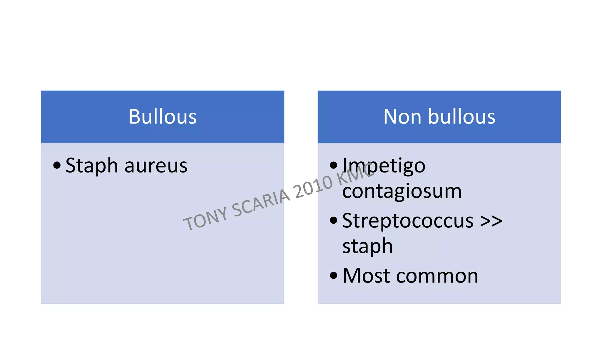 Bacterial cutaneous infection DERMATOLOGY REVISION NOTES | PDF