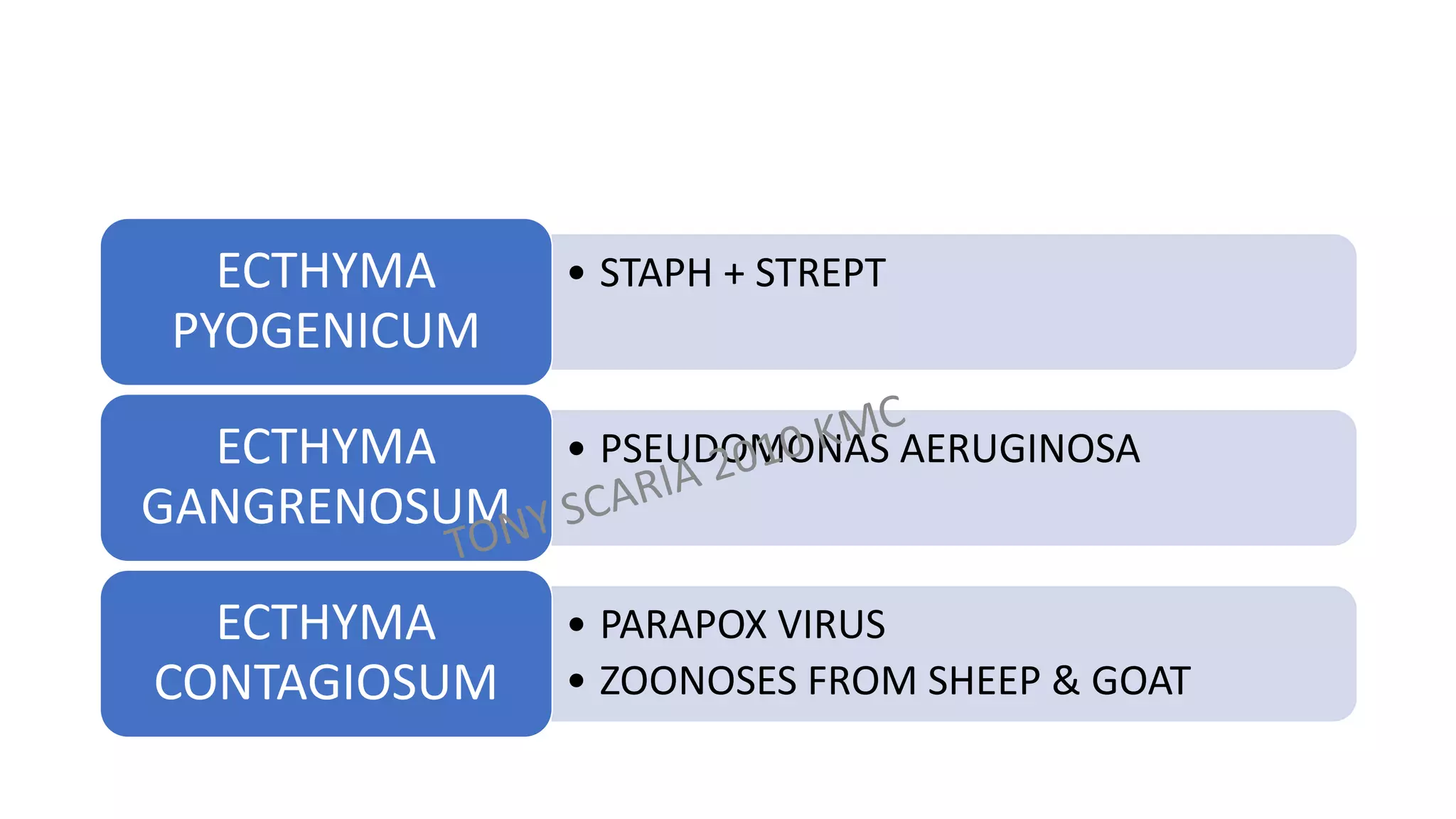 Bacterial cutaneous infection DERMATOLOGY REVISION NOTES | PDF