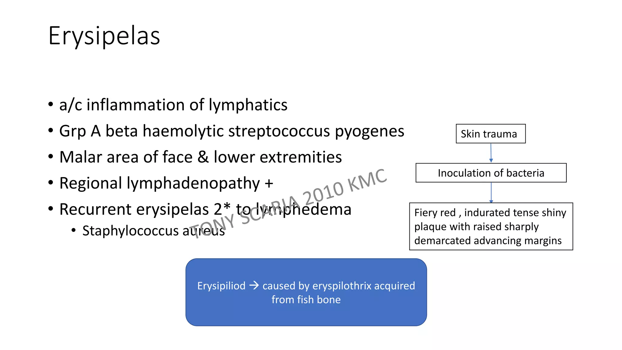 Bacterial cutaneous infection DERMATOLOGY REVISION NOTES | PDF