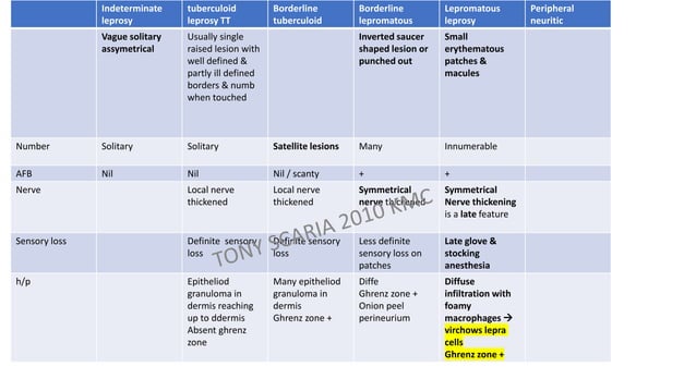 Bacterial cutaneous infection DERMATOLOGY REVISION NOTES | PDF