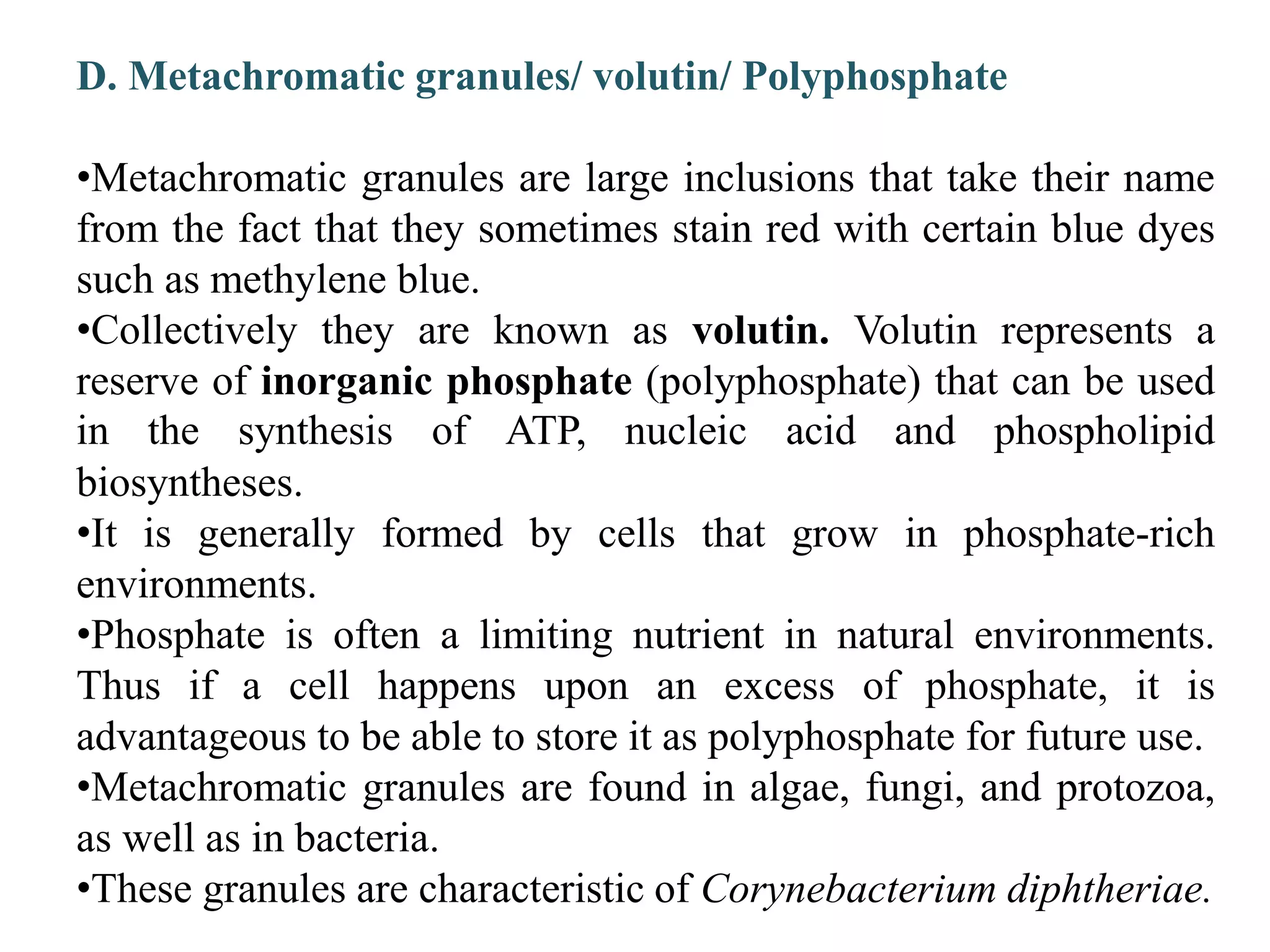Bacterial cytology cell inclusions | PPTX