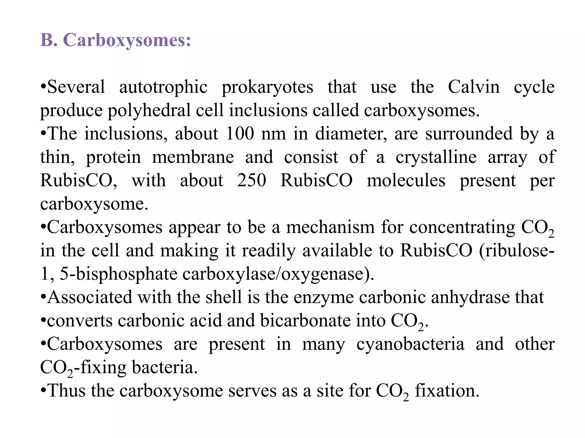 Bacterial cytology cell inclusions | PPTX