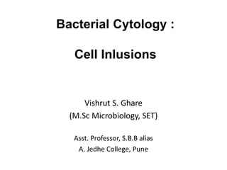 Bacterial cytology cell inclusions | PPTX
