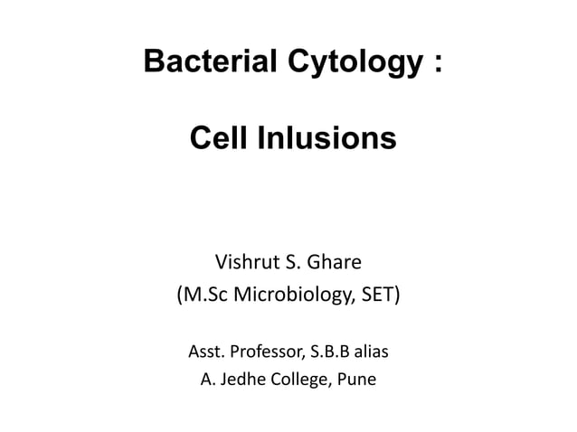 Bacterial cytology cell inclusions | PPTX | Chemistry | Science